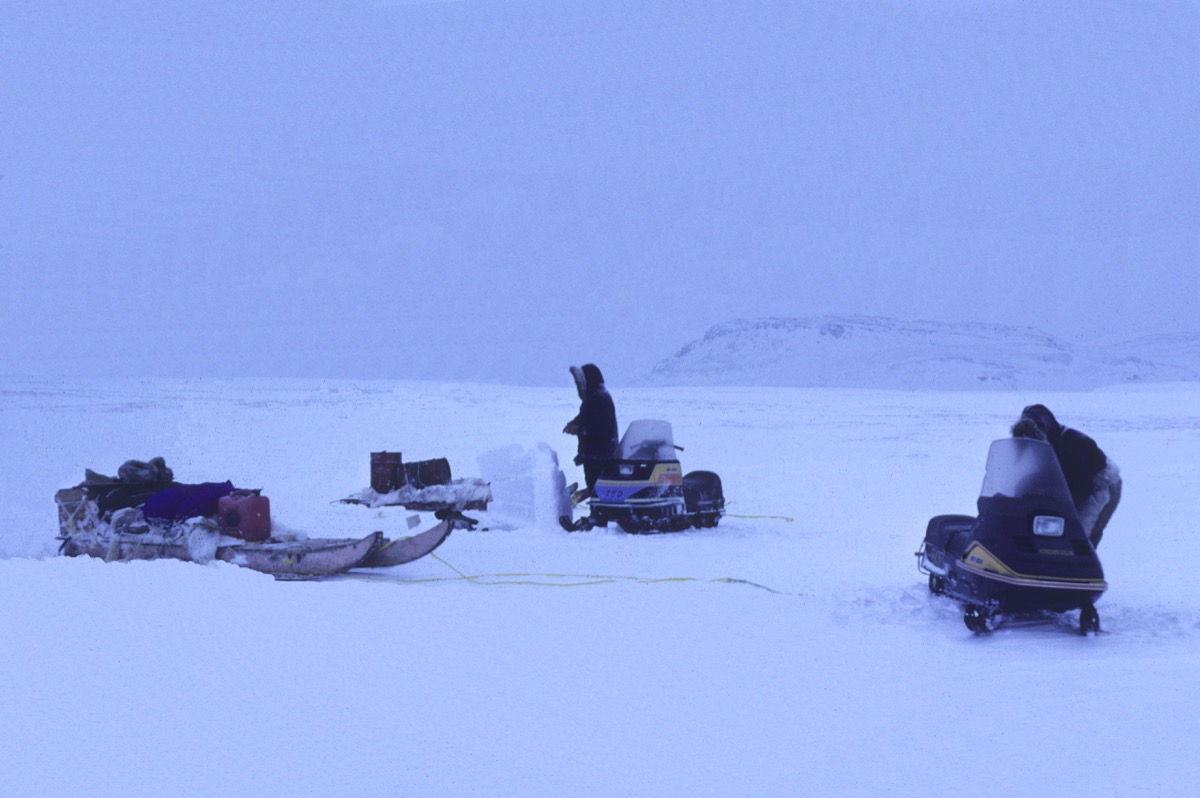 2. Nauyuk & Inuk Trip | The Nick Newbery Photo Collection