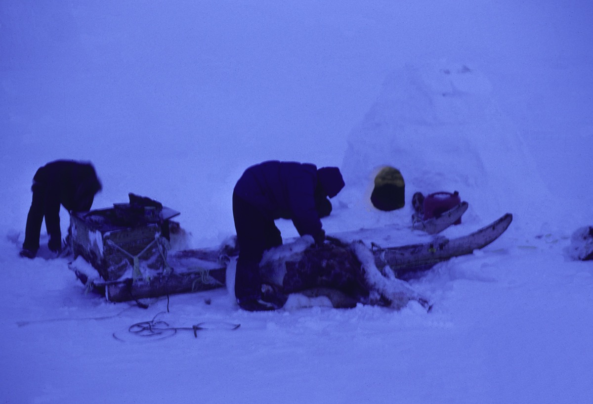 4. Nauyuk & Inuk Trip | The Nick Newbery Photo Collection