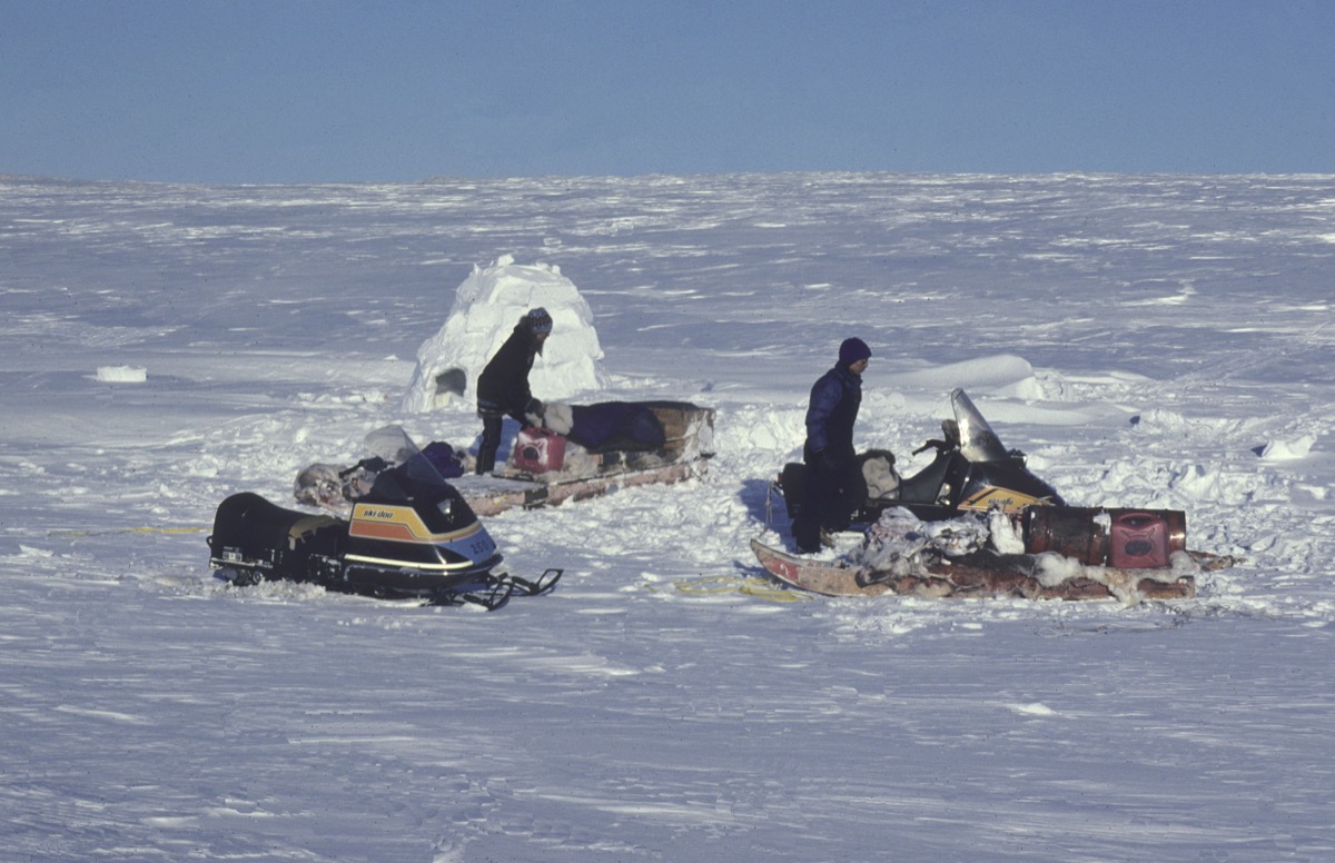 5. Nauyuk & Inuk Trip | The Nick Newbery Photo Collection