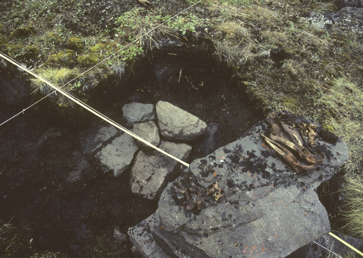 12. Skraeling Island | The Nick Newbery Photo Collection