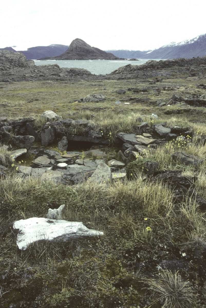 4. Skraeling Island | The Nick Newbery Photo Collection