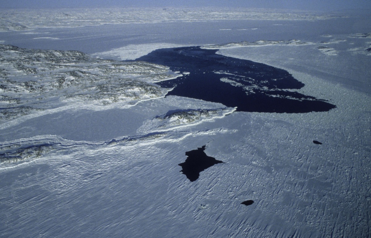 3. Frobisher Bay Plane Trips | The Nick Newbery Photo Collection