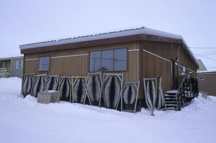 6. Seals,Sealskins & Rope | The Nick Newbery Photo Collection