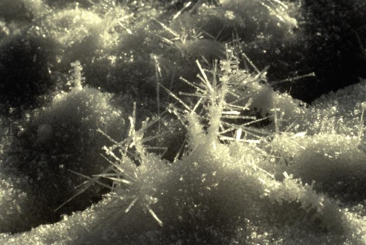 1. Ice Particles | The Nick Newbery Photo Collection