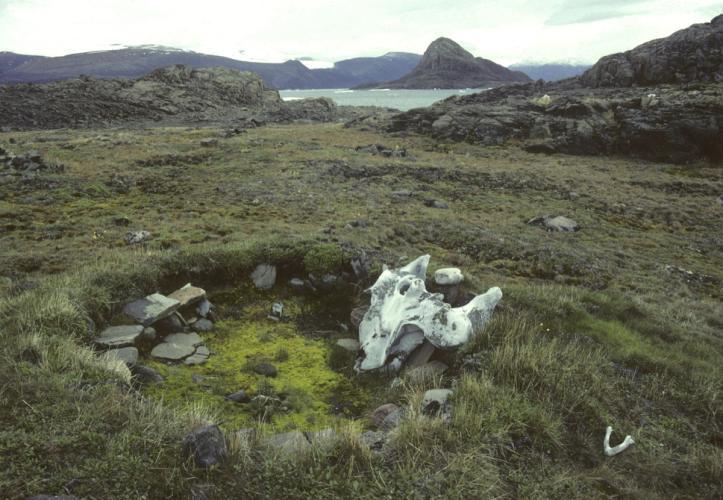 5. Skraeling Island | The Nick Newbery Photo Collection